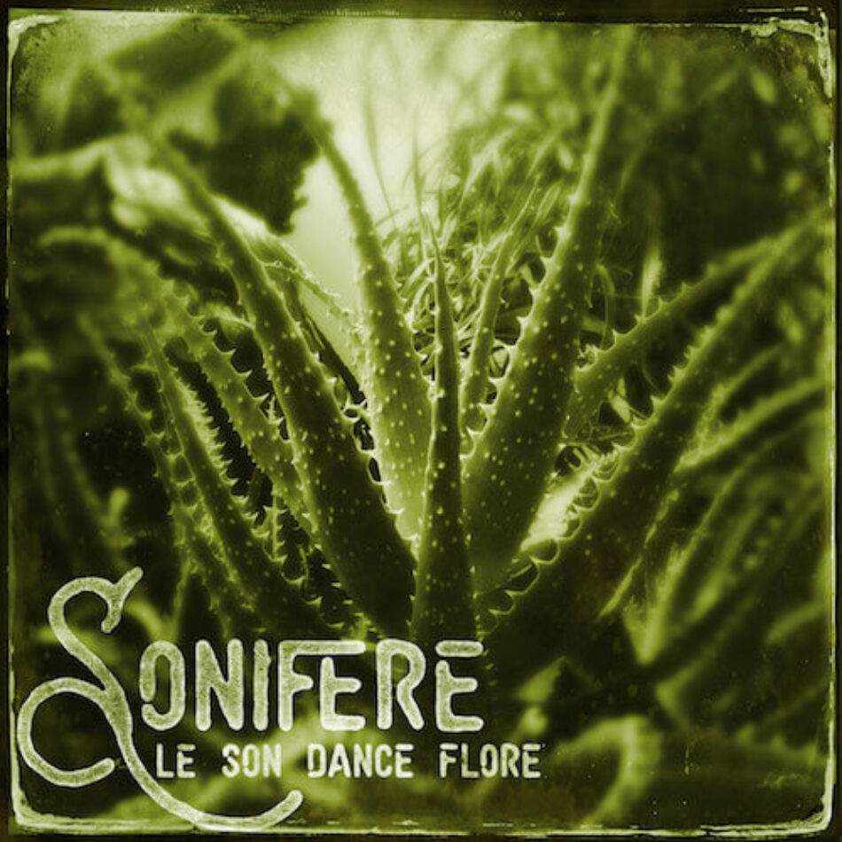 Homepage Phaune • Phaune Radio